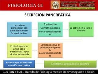 Secreción gastrointestinal | PPTX