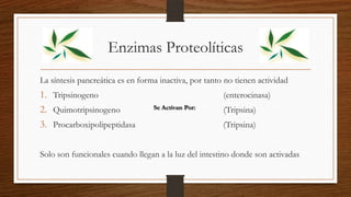 Secreción pancreática | PPTX