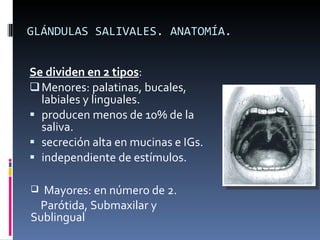 Secreción salival y gástrica | PPT