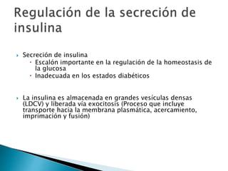 Secrecion de insulina | PPTX