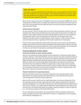 Sec reporting update smaller reporting companies | PDF