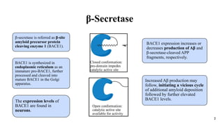 β-Secretase in Alzheimer's disease..pptx