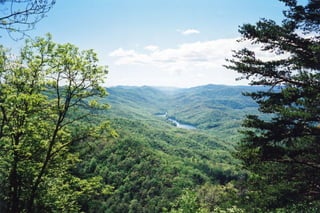 Secret Graveyard | PPT