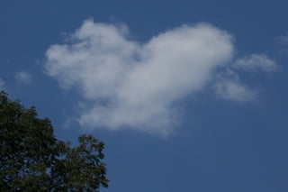 Secret Graveyard | PPT