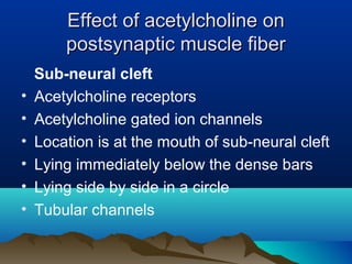 Secretion of ach_on_nerve_terminal | PPT