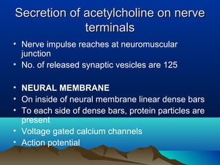 Secretion of ach on nerve terminal | PPT