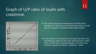 Secretion of inulin physiology classic paper presentation | PPT