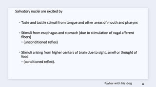 Secretion of Saliva and its function Tallat Naz.potx