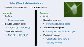 Secretion of Saliva and its function Tallat Naz.potx