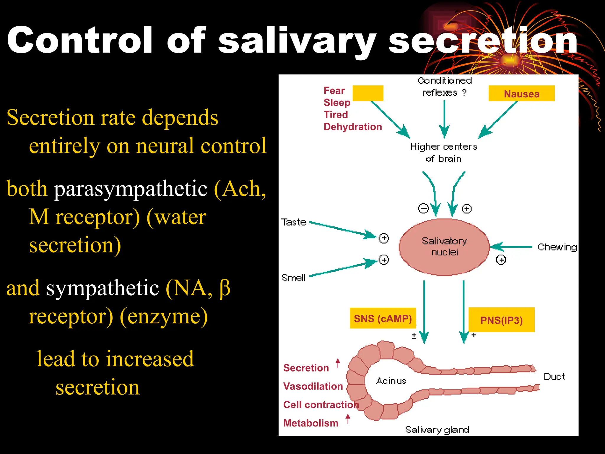 Lecture note on Digestion and Secretions | PPT