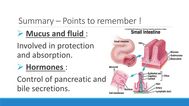 Secretions of small intestine | PPTX | Endocrine and Metabolic Diseases ...