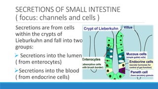 Secretions of small intestine | PPTX