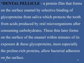Secretions of the Oral Cavity and their Interactions on Tooth Surfaces ...