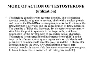 SECRETION,TRANSPORT_AND_METABOLISM_OF_TESTIS_HORMONE RAKESH(1).pptx