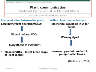 Secret life of plants | PPTX