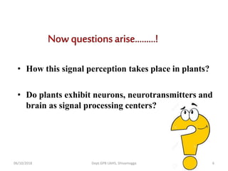 Secret life of plants | PPTX