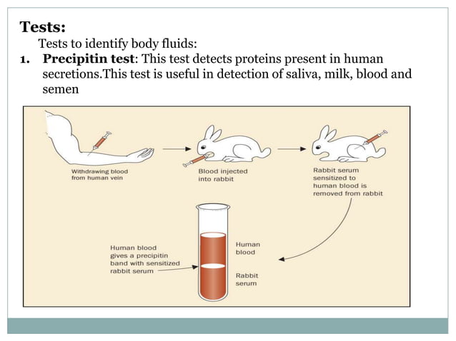 Secretors | PPTX | Blood Disorders | Diseases and Conditions