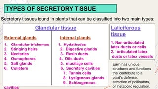 secretory ducts and laticifers by Alisha dewangan.pdf