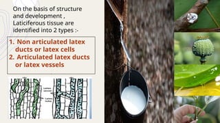 secretory ducts and laticifers(plant anatomy).pptx