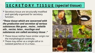 secretory ducts and laticifers(plant anatomy).pptx