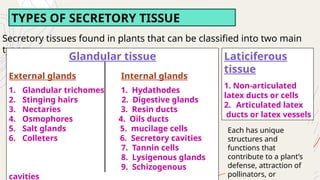 secretory ducts and laticifers(plant anatomy).pptx