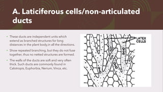 Paper-V: Histology-Secretory glands | PPT