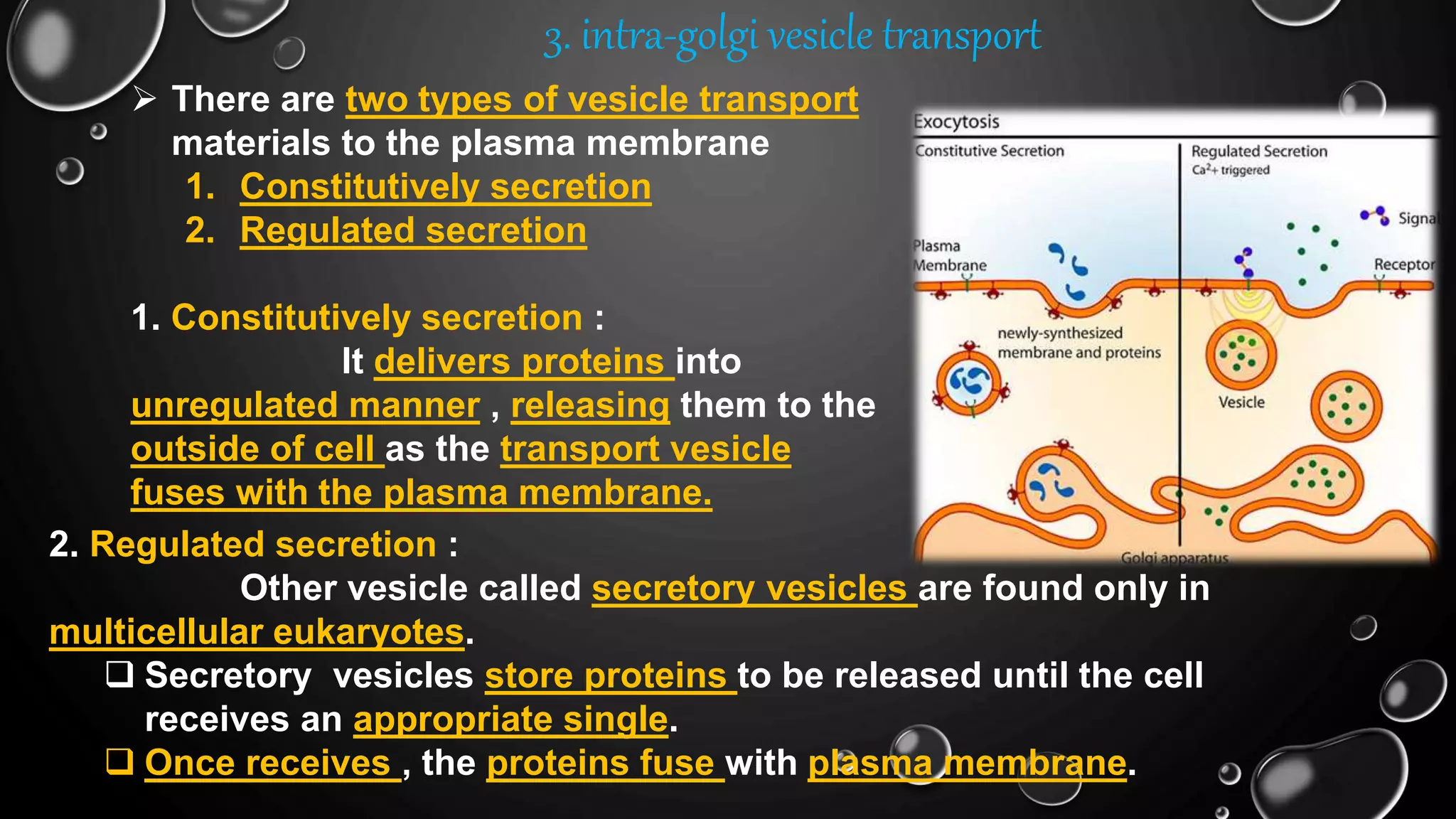 Secretory Pathway.ppt (T.Y. Bsc).pptx