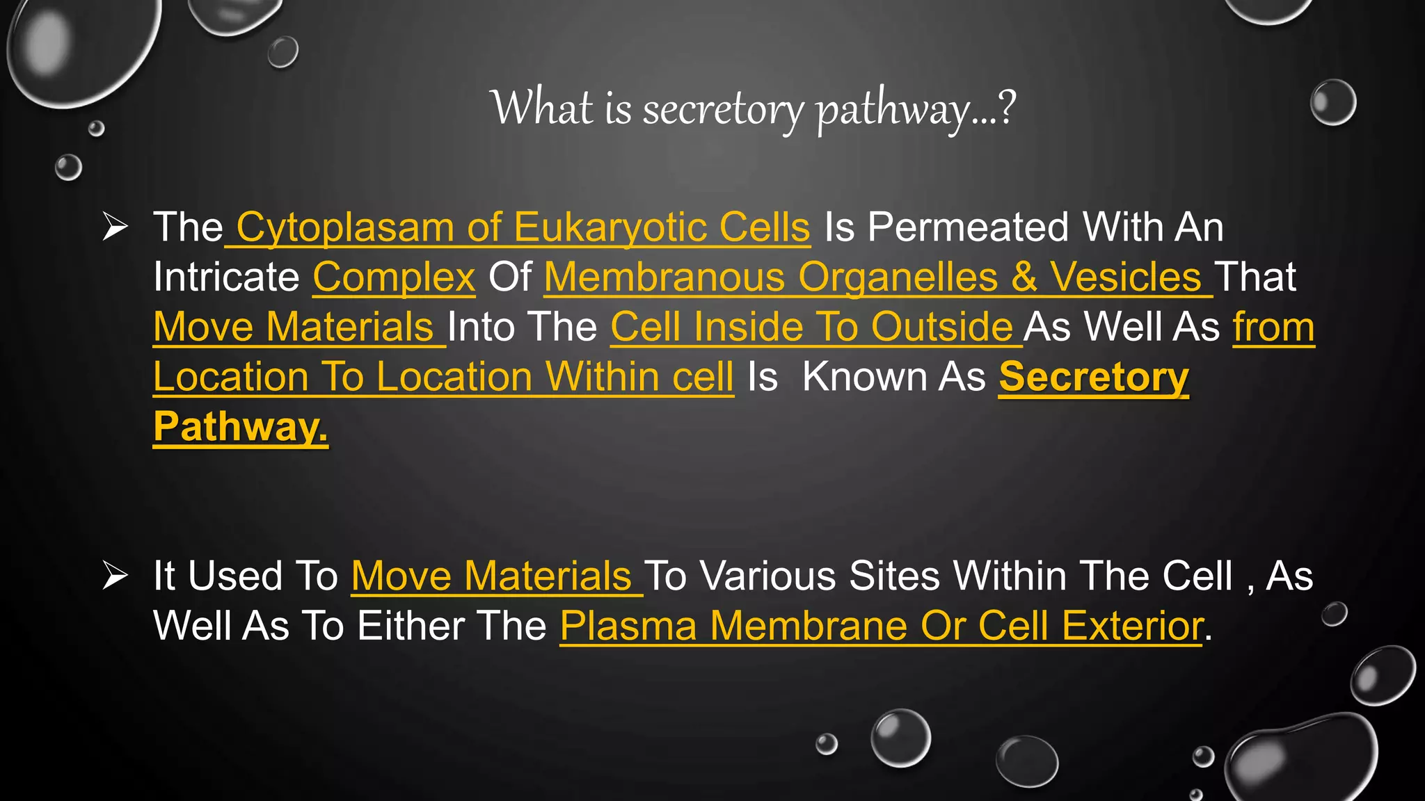 Secretory Pathway.ppt (T.Y. Bsc).pptx
