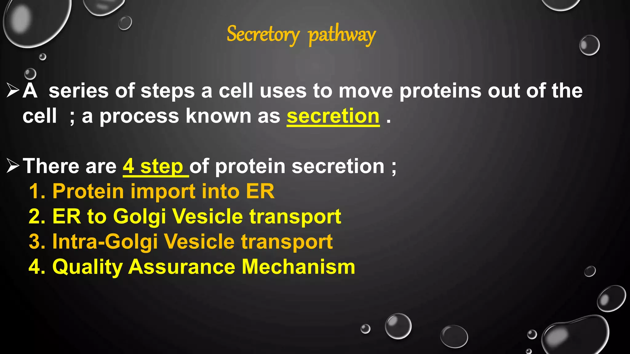 Secretory Pathway.ppt (T.Y. Bsc).pptx