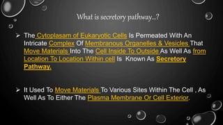 Secretory Pathway.ppt (T.Y. Bsc).pptx