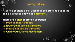 Secretory Pathway.ppt (T.Y. Bsc).pptx