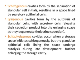 Secretory System are there in plant cells. | PPTX