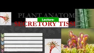 secretory tissues Types and classification | PPTX