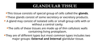 secretory tissues Types and classification | PPTX
