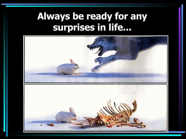 Secrets Of A Happy Life | PPS