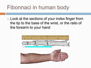 Secrets of fibonnaci numbers | PPTX
