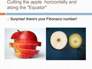 Fibonacci Sequence In Fruit