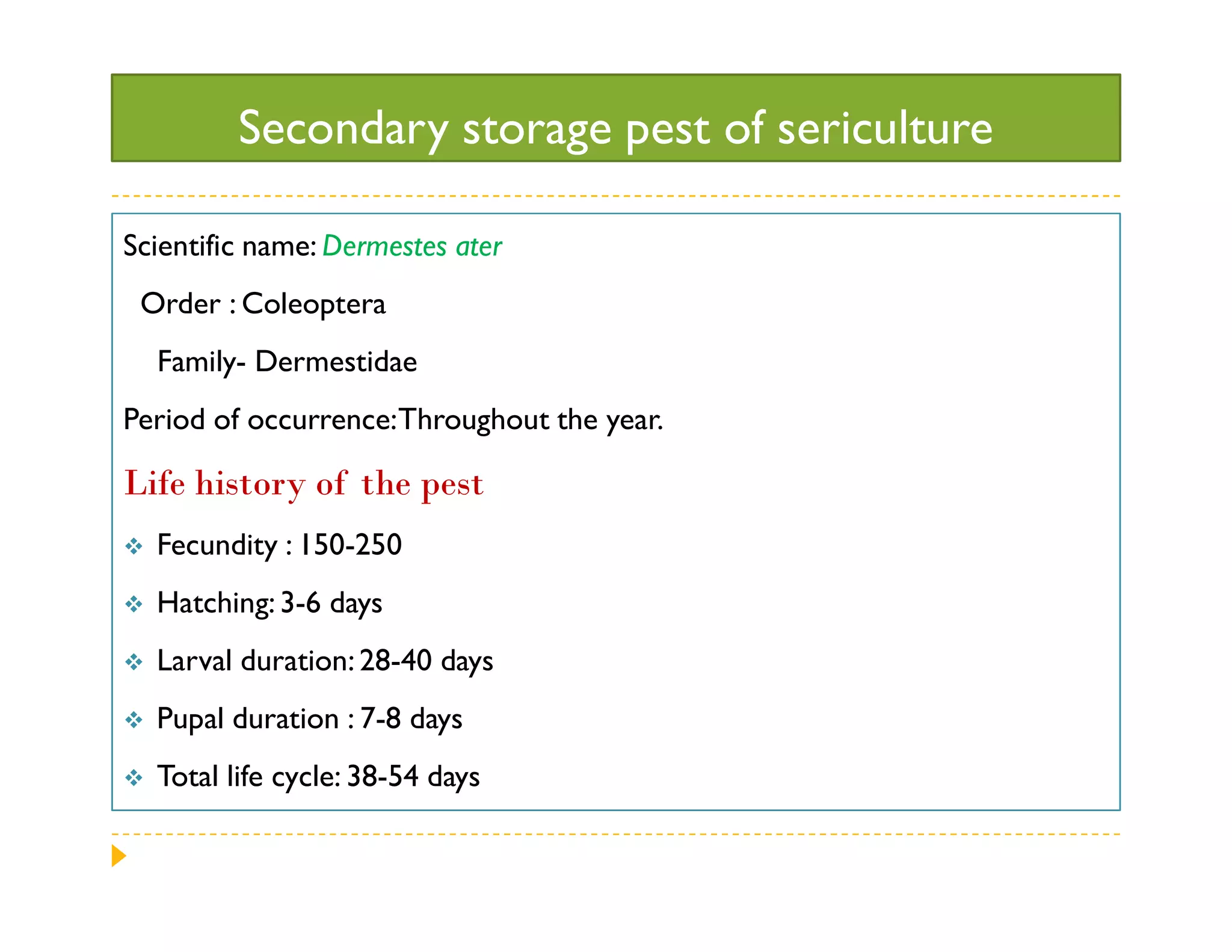Storage Grain Pests : Secondary storage Pests | PDF