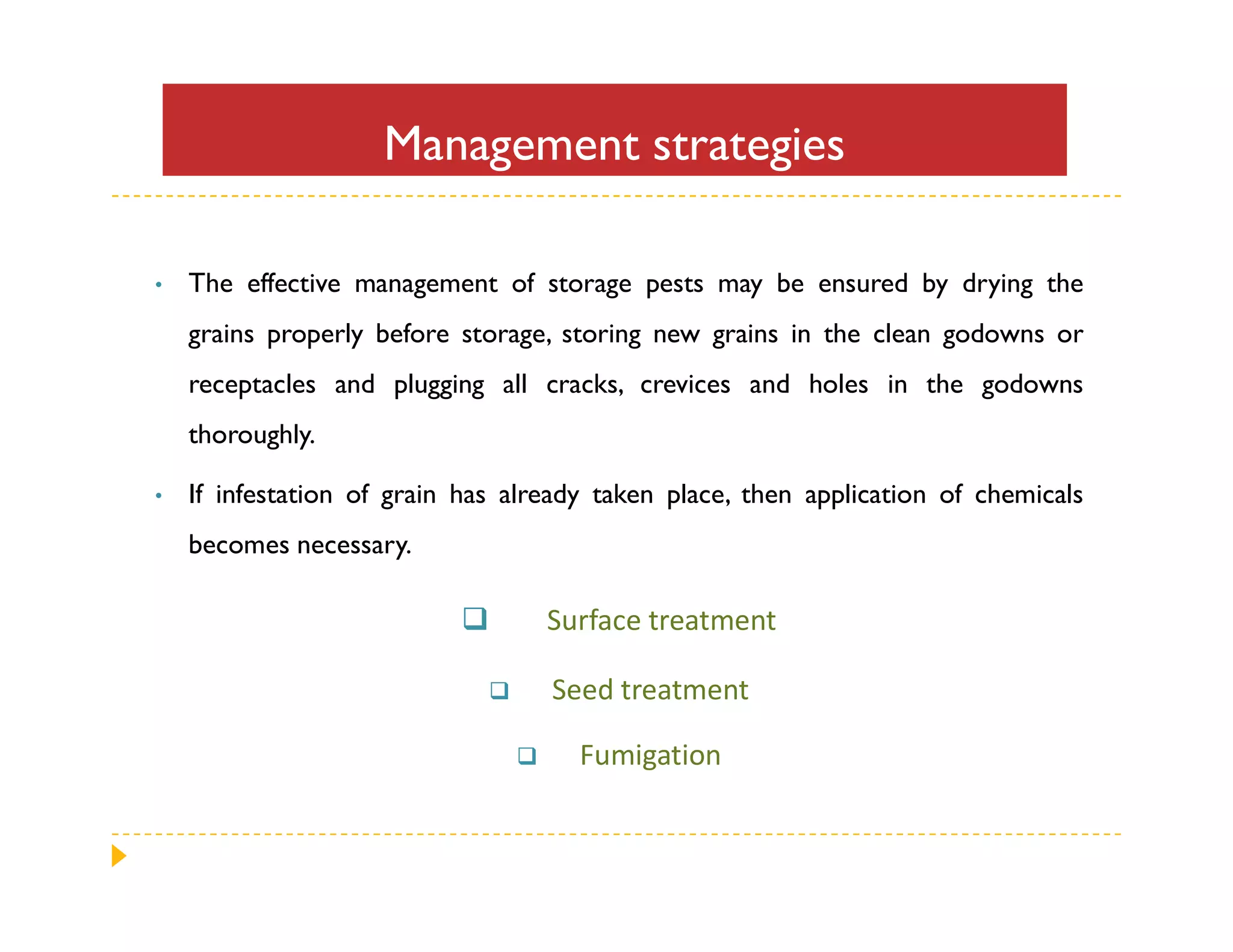 Storage Grain Pests : Secondary storage Pests | PDF
