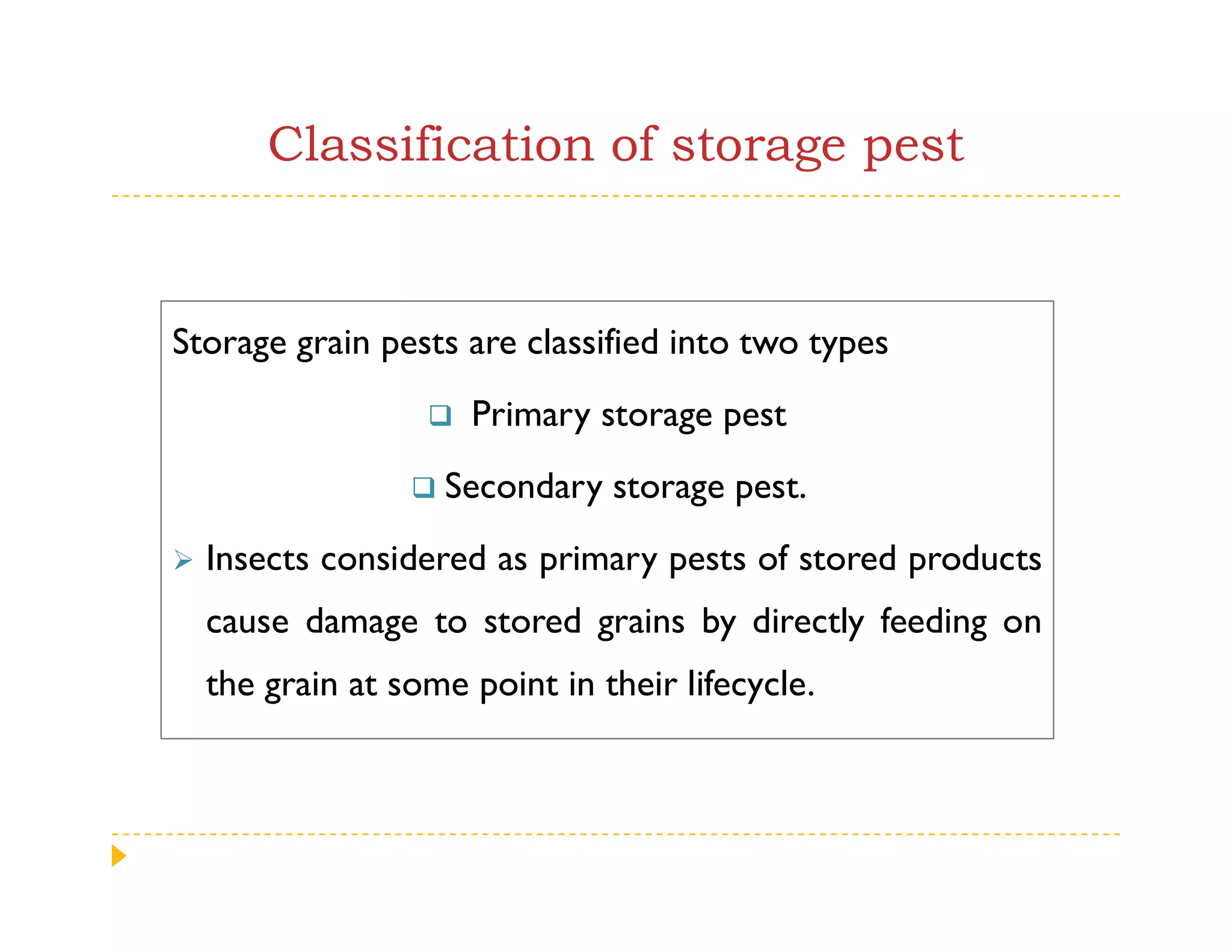 Storage Grain Pests : Secondary storage Pests | PDF