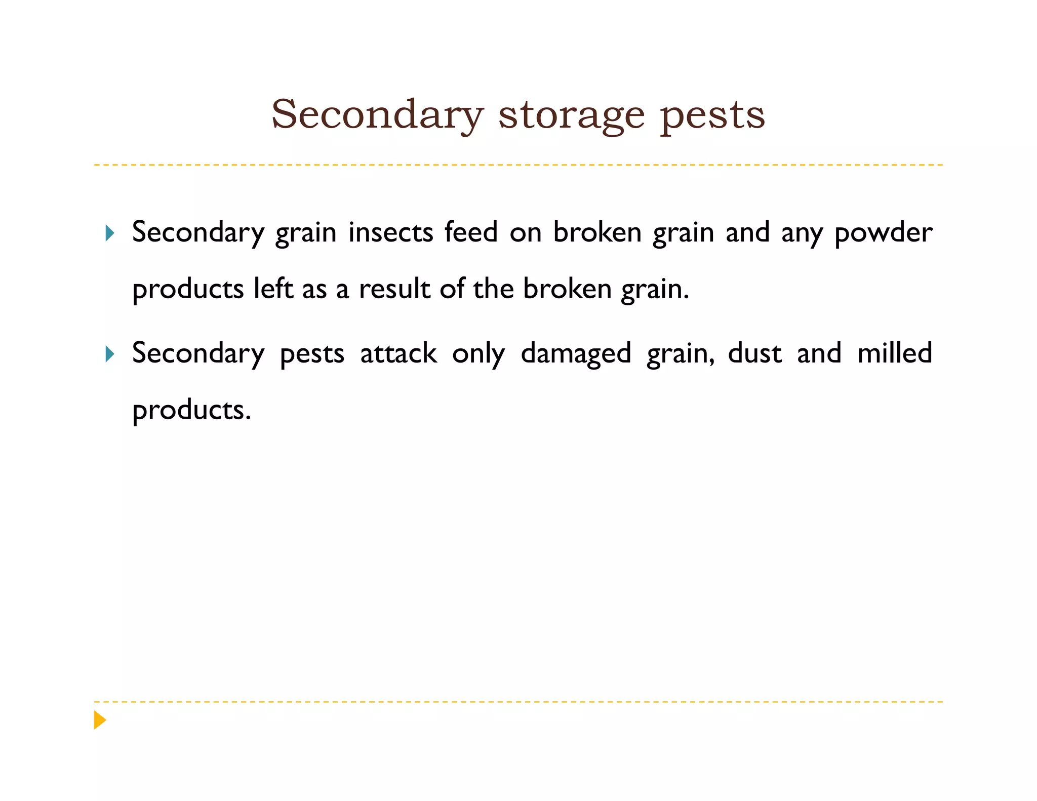 Storage Grain Pests : Secondary storage Pests | PDF