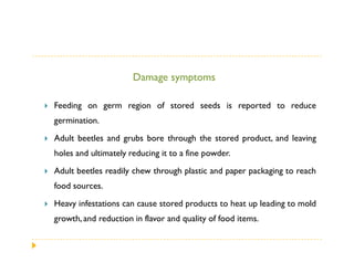 Storage Grain Pests : Secondary storage Pests | PDF
