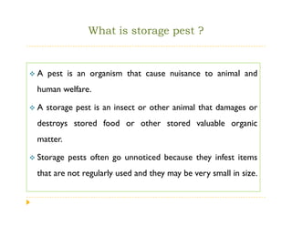 Storage Grain Pests : Secondary storage Pests | PDF