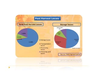 Storage Grain Pests : Secondary storage Pests | PDF