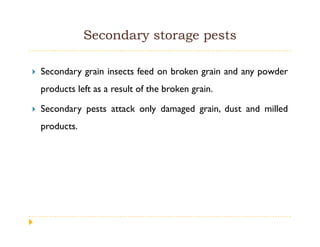 Storage Grain Pests : Secondary storage Pests | PDF