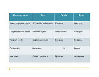 Storage Grain Pests : Secondary storage Pests | PDF