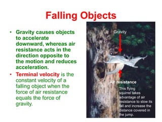 sect17_slidesppt34.ppt