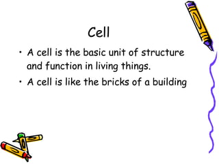 Cell theory | PPT