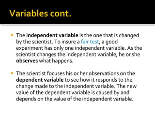 Section 1 3 Using The Scientific Method | PPT | Chemistry | Science
