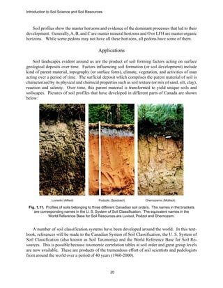 Section 01 | PDF